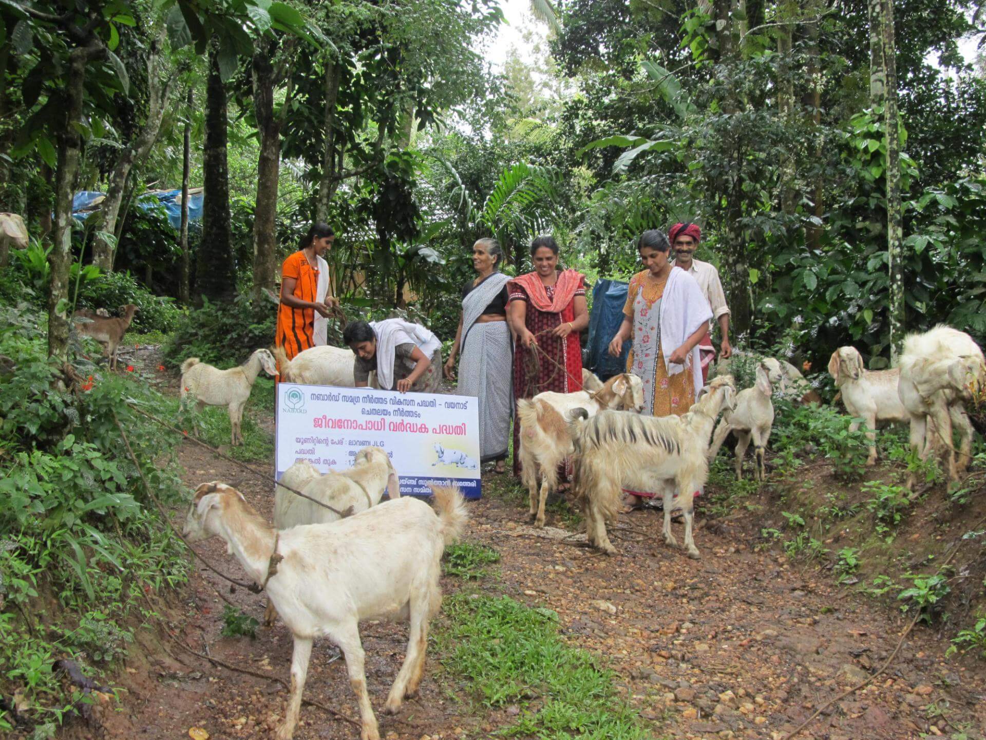 Donate - Mirror Wayanad
